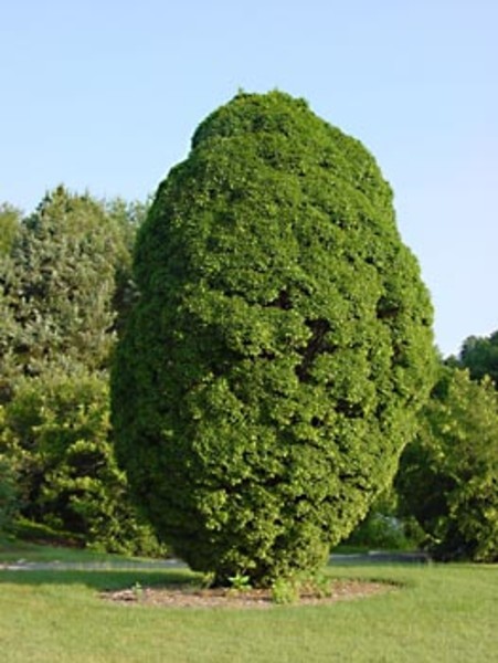 Bernheim Forest and Arboretum | Bourbon Country